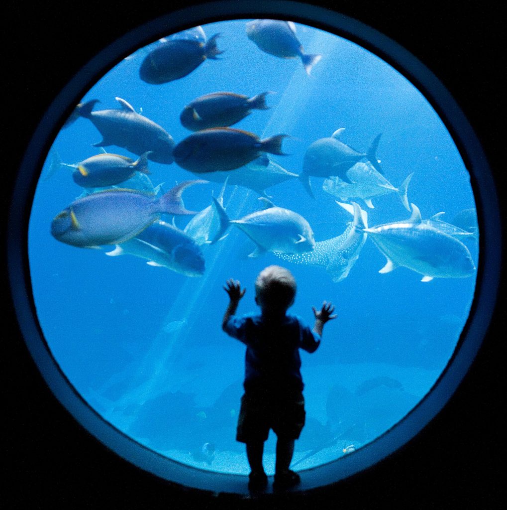 About Us - Vinidex Pty Ltd